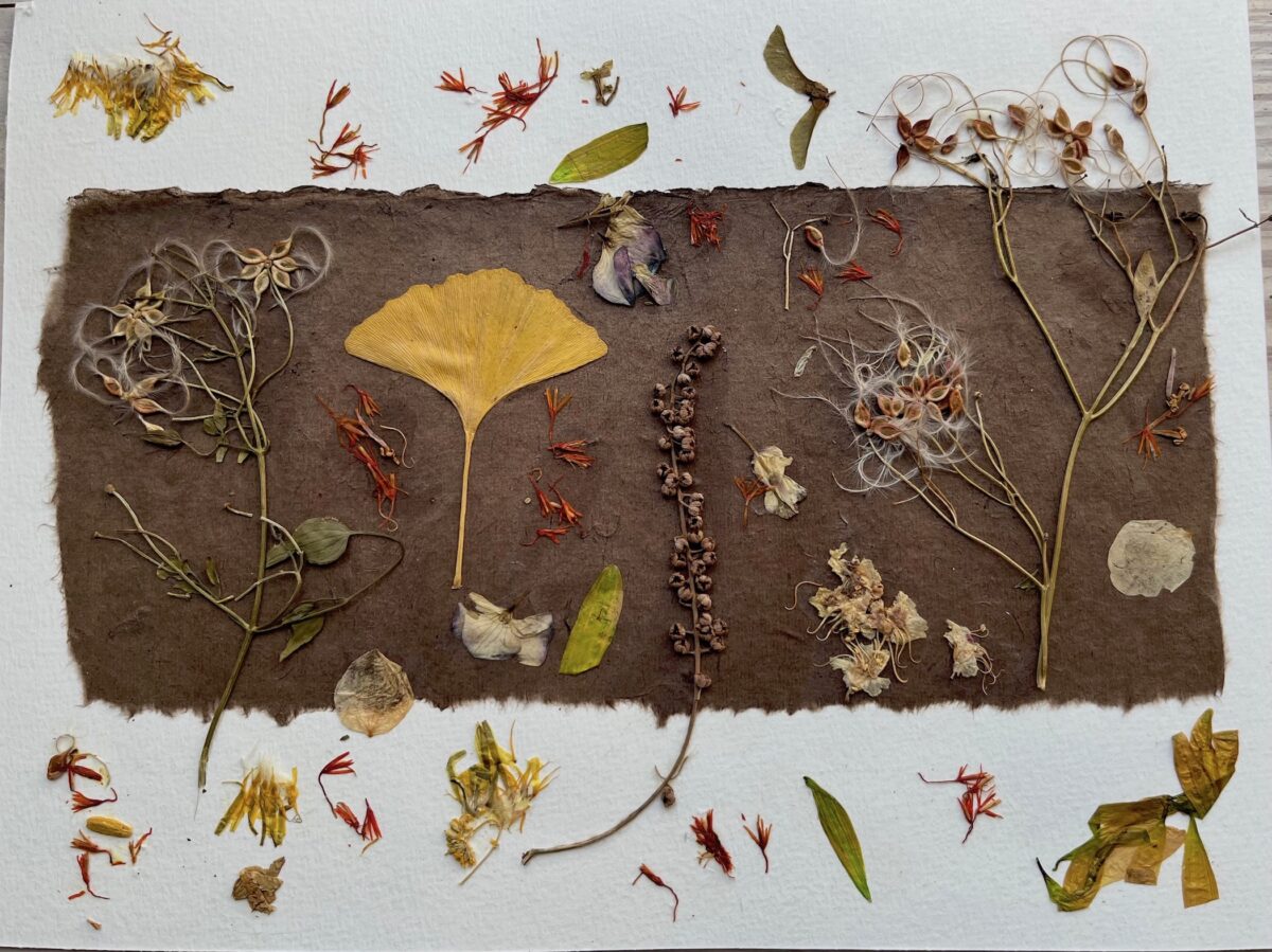 Joanne Gelb - Art Studio Views